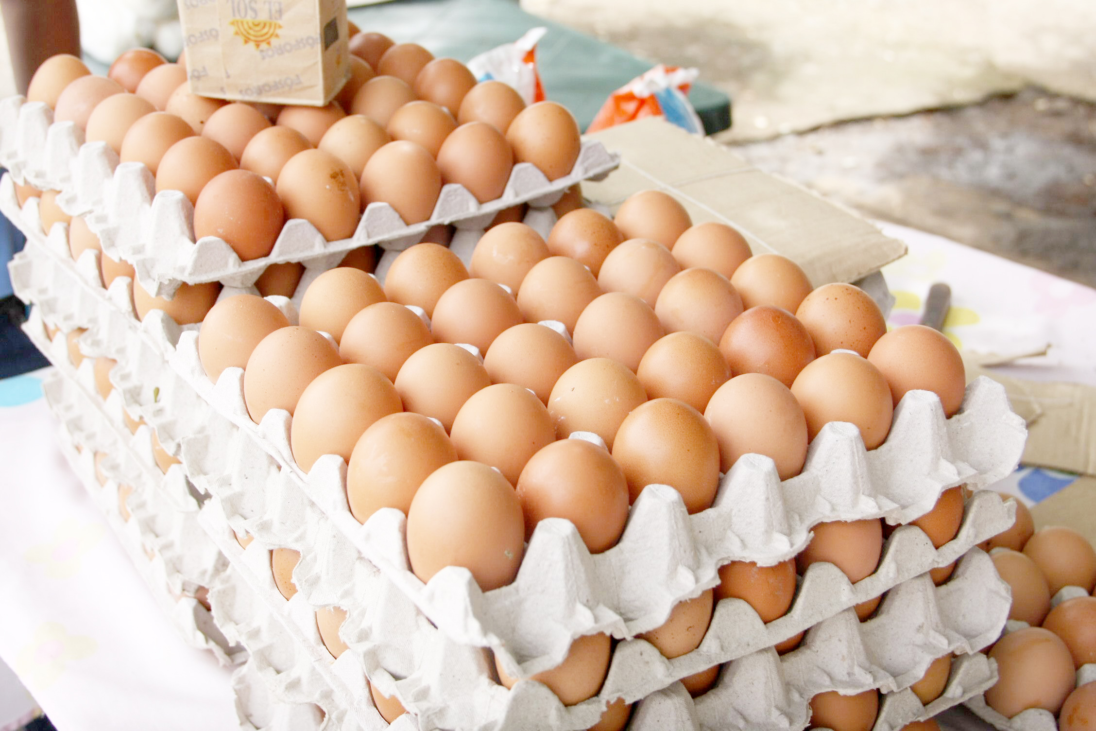 Cartón de huevos se montó en Bs. 1 millón 600 mil - Diario Avance