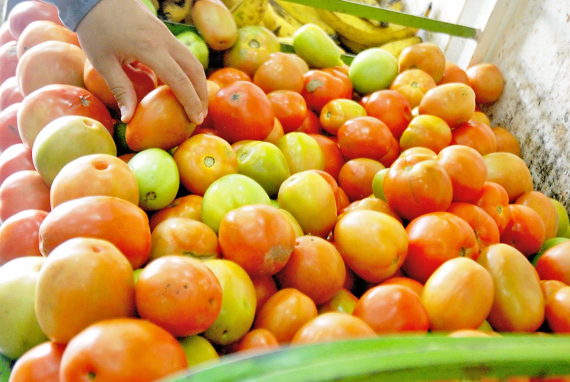 El kilo de tomate ya va por Bs.S 800 - Diario Avance