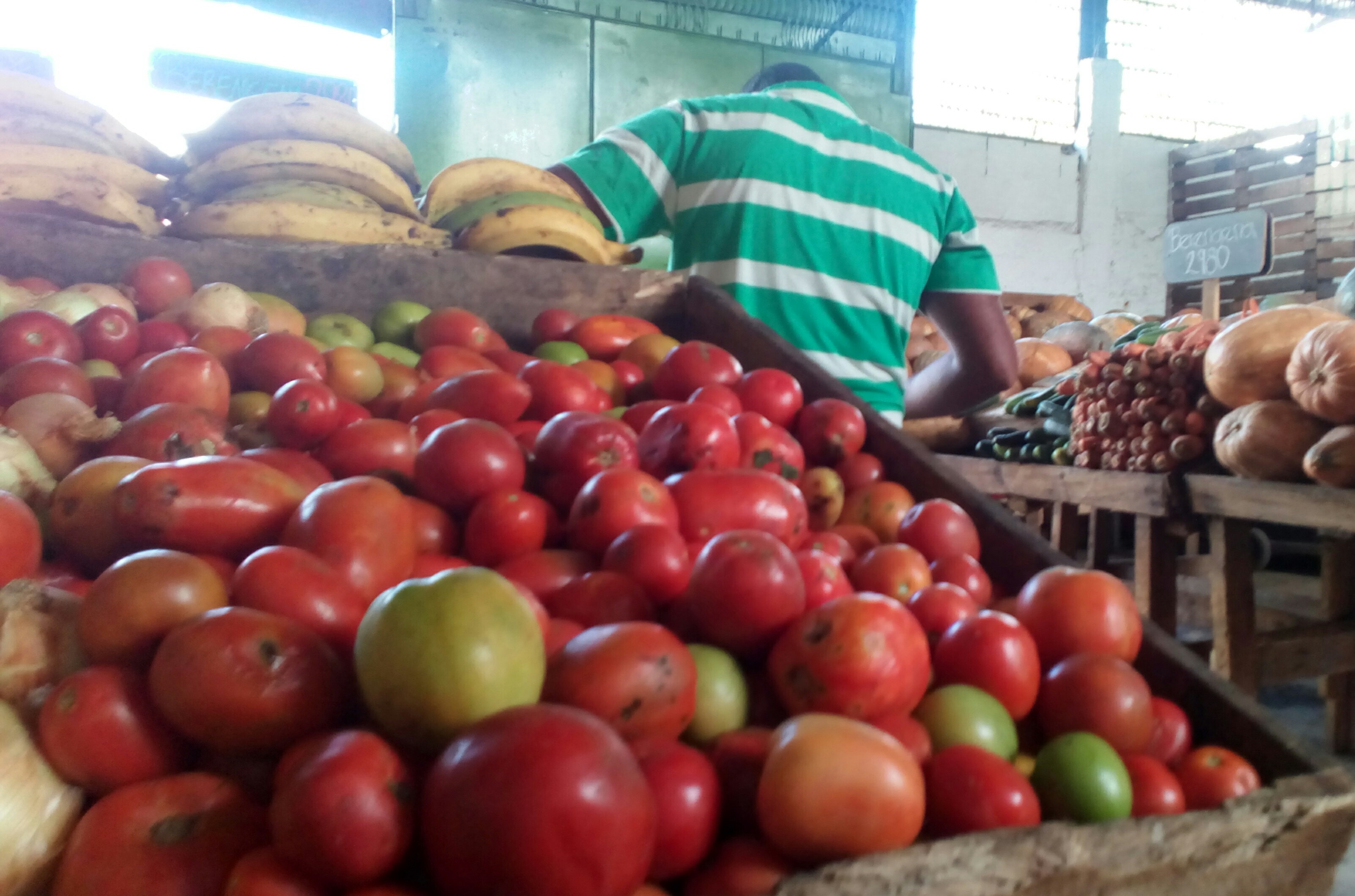 Kilo de tomate se cotiza en Bs. 40.000 - Diario Avance