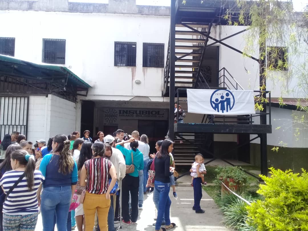 IVSS celebra su 75 aniversario con mega jornada de salud - Diario Avance
