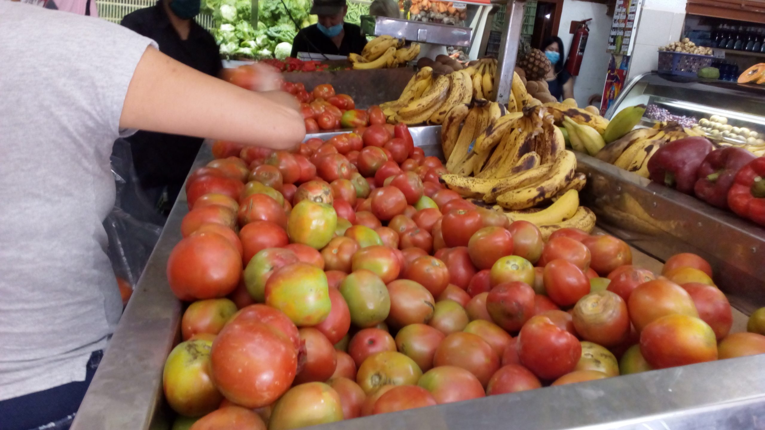 El tomate se ubica en Bs 250.000 - Diario Avance