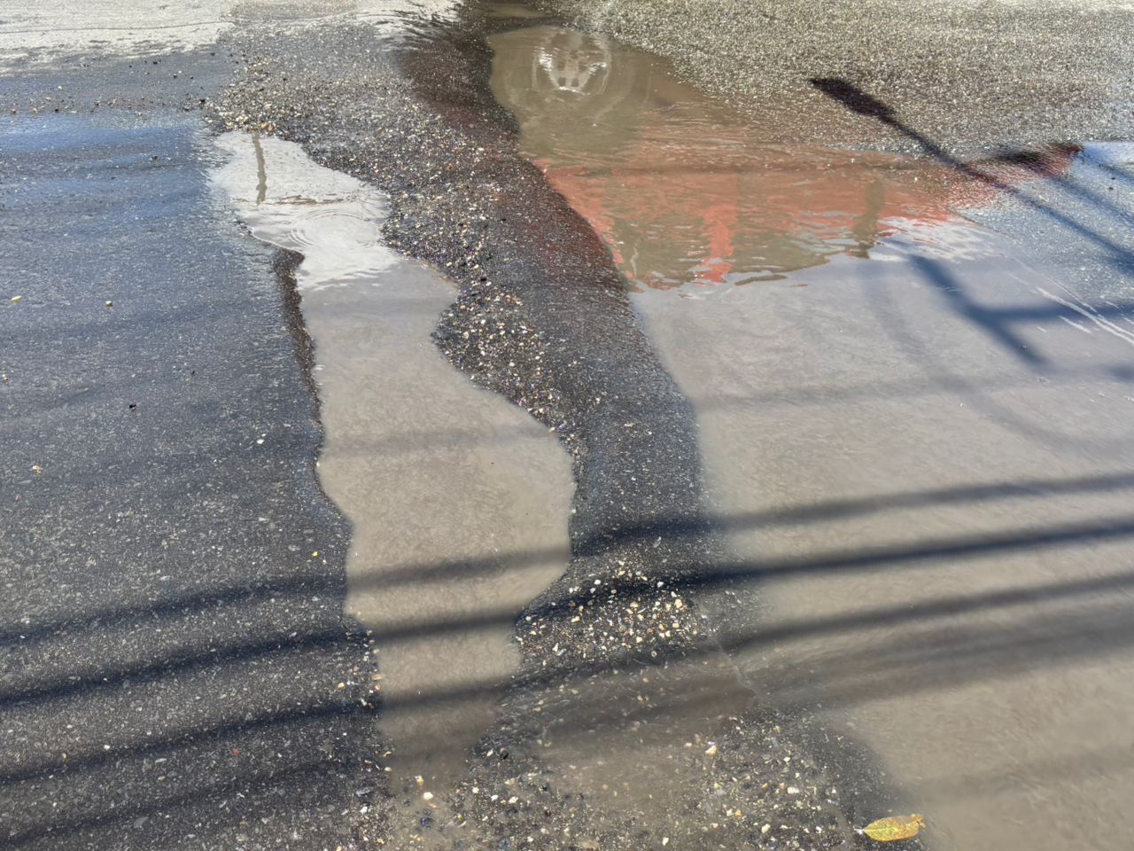 Reductor en mal estado retrasa el tránsito en calle Nueva